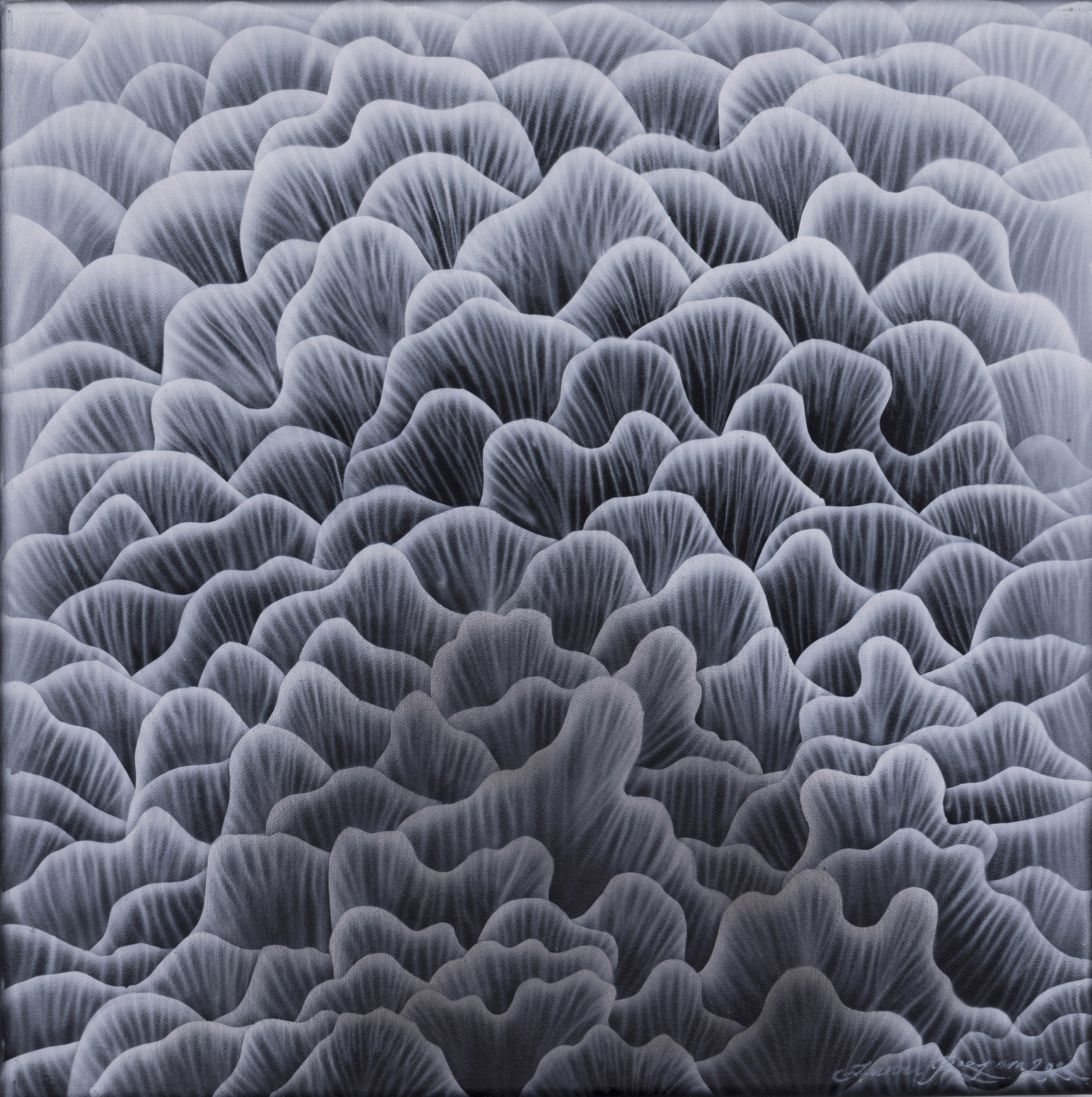 Hanna ROZPARA - Funghi, 2022 | Artinfo.pl - portal rynku sztuki