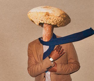 Jules Collet – Współczesne | Artinfo.pl - portal rynku sztuki